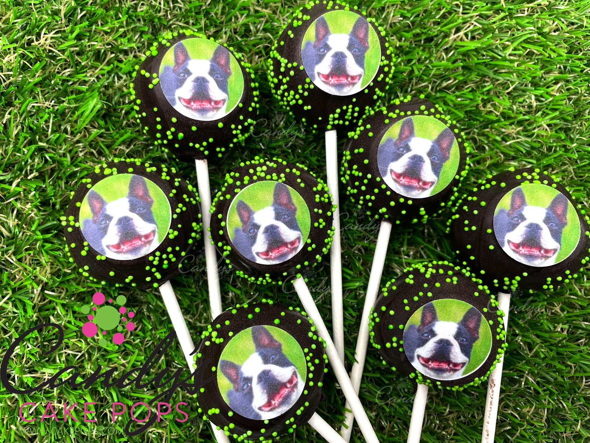 Personalized Cake Pops | Decorated Cake Pops - Candy Cake Pops