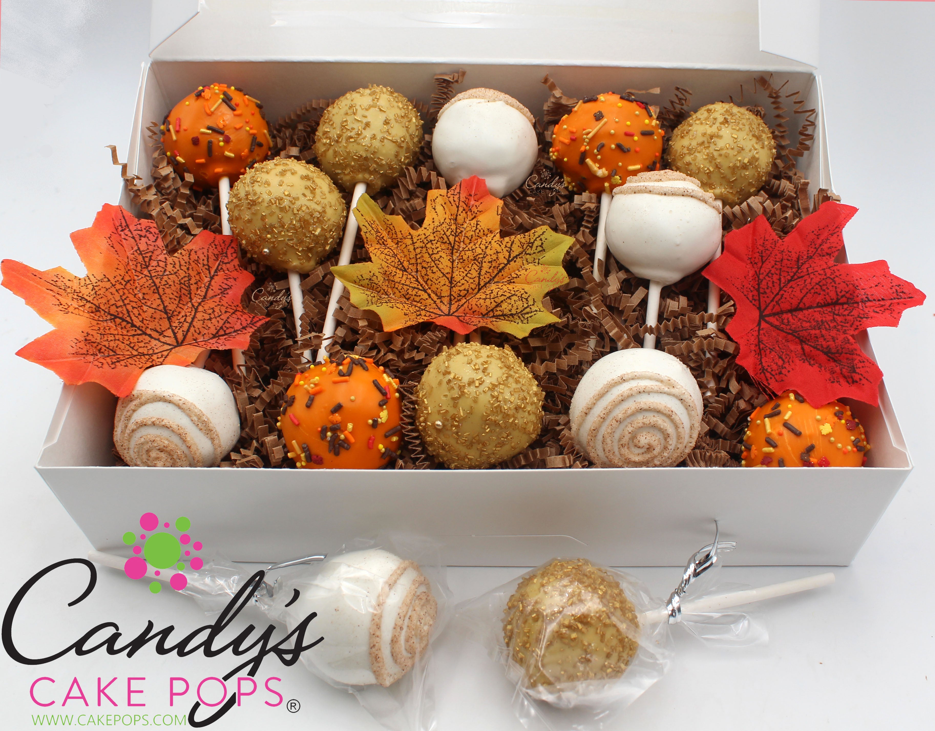 Fall Cake Pops | Halloween Cake Pops - Candy's Cake Pops